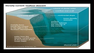 Marine geology | PPT