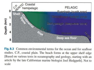 Marine geology.pptx