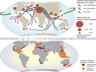 Marine bio invasion | PPTX