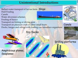 Marine bio invasion | PPTX