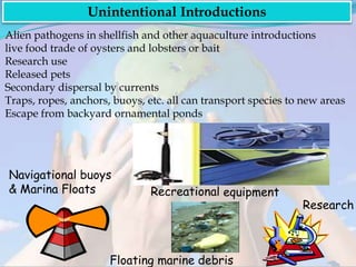 Marine bio invasion | PPTX
