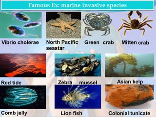 Marine bio invasion | PPTX