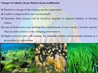 Marine bio invasion | PPTX