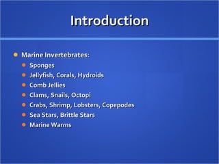 Marine Invertebrates | PPT