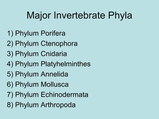 Marine invertebrates | PPT | Biological Sciences | Science