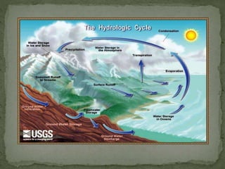 Marine isotope stages | PPTX