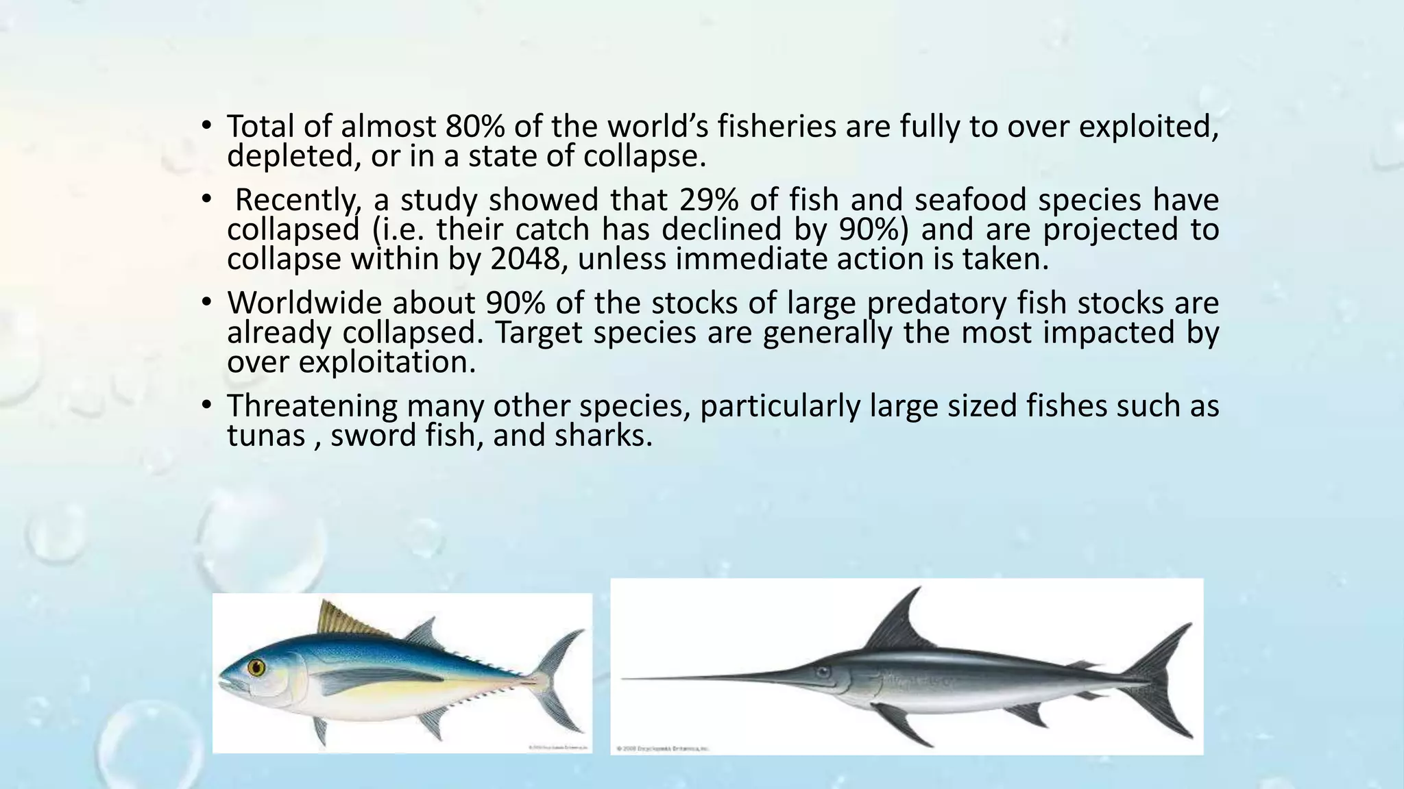 Marine life of andaman and nicobar | PPTX