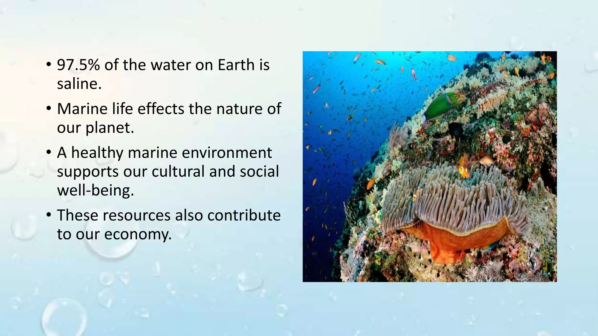 Marine life of andaman and nicobar | PPTX
