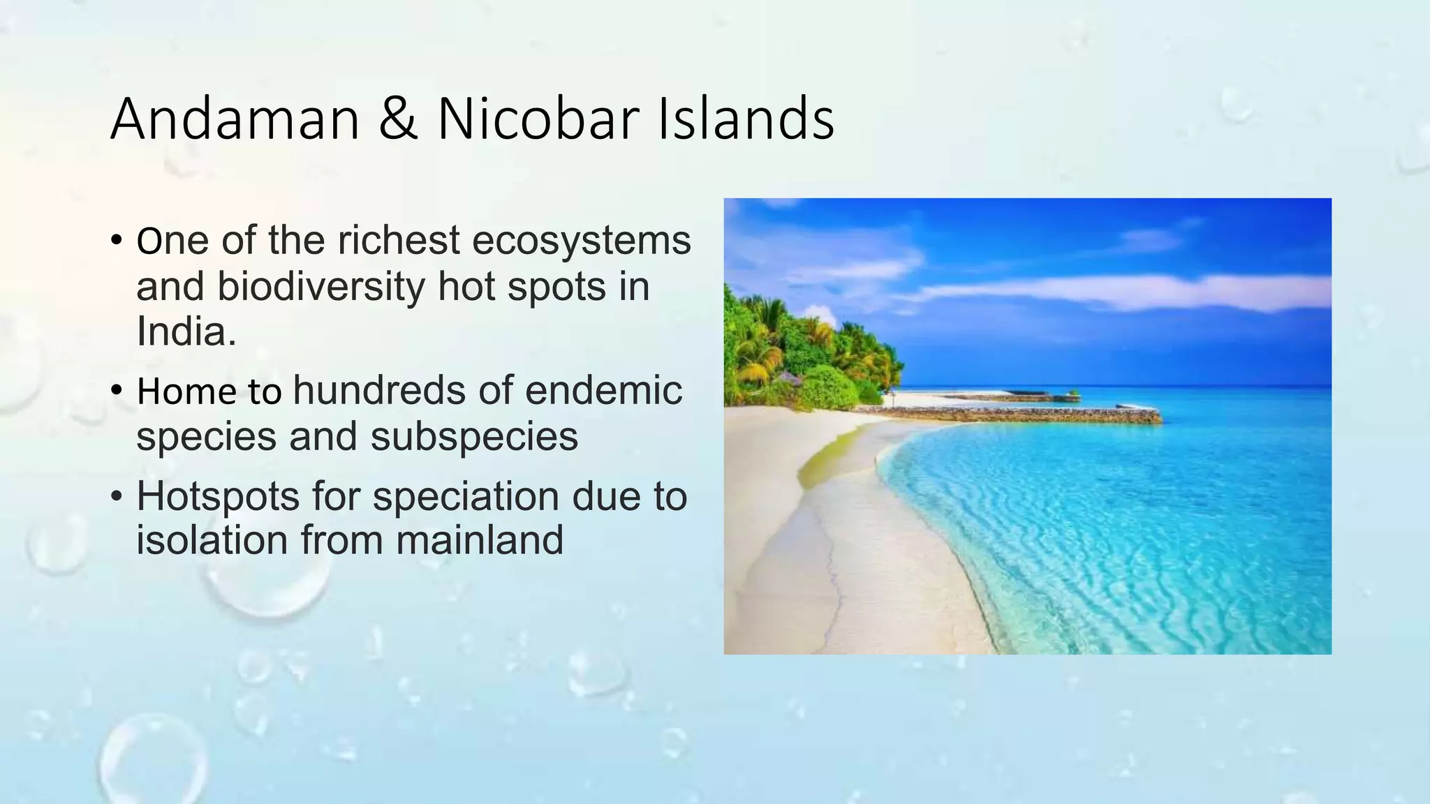 Marine life of andaman and nicobar | PPTX