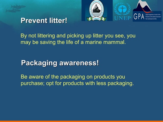 Marine Litter Management in Nigeria | PPT | Environmental Services ...
