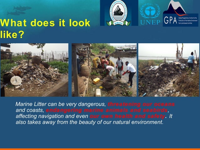 Marine Litter Management in Nigeria | PPT | Environmental Services ...