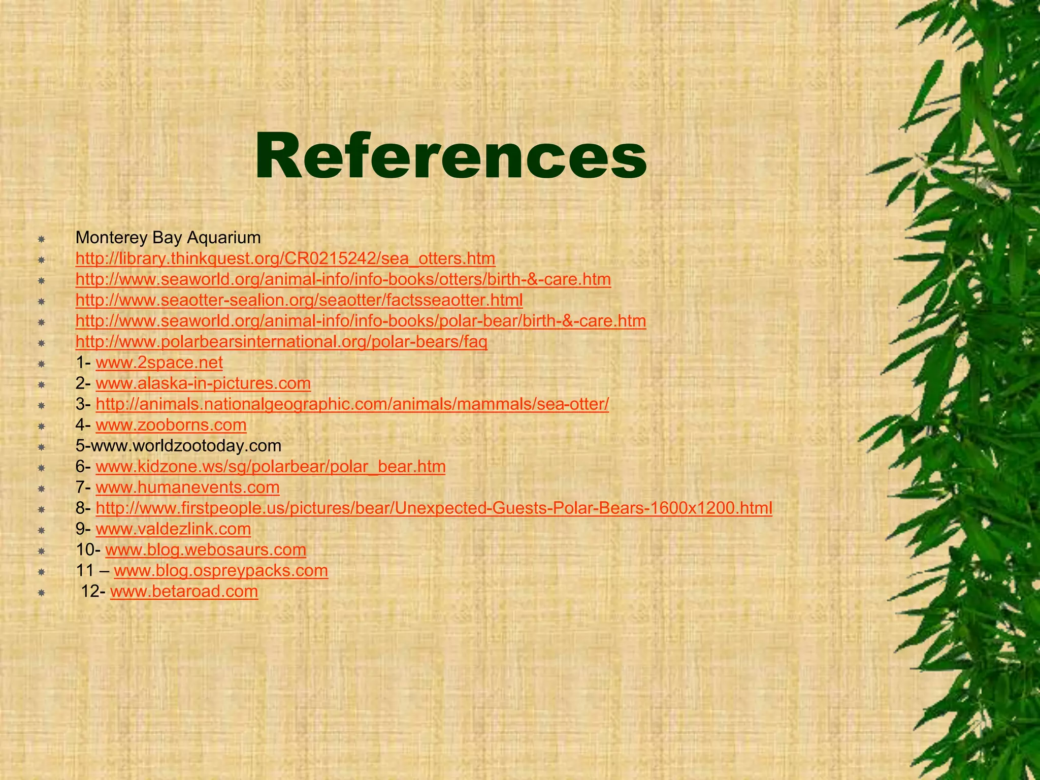 Marine Mammals.ppt