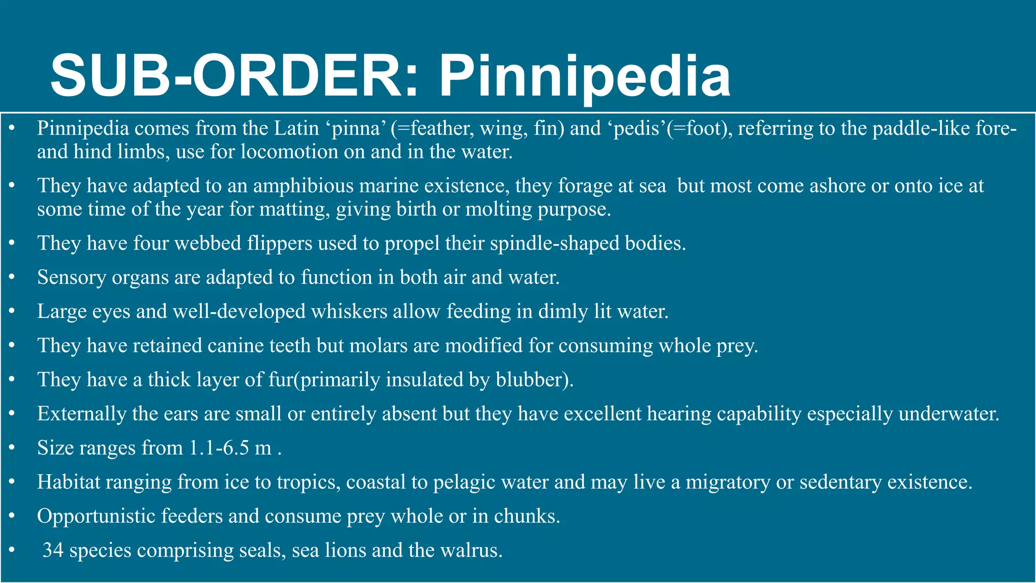 Marine Mammals | PPTX