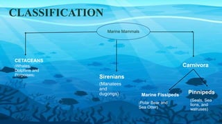 Marine Mammals | PPTX | Geography | Science