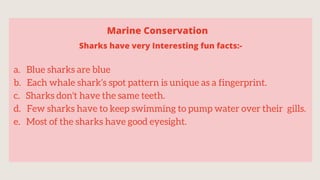 Sharks Endangered Species | PDF
