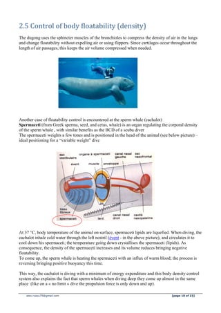 Marine mammals: physiological adaptations to freediving | PDF