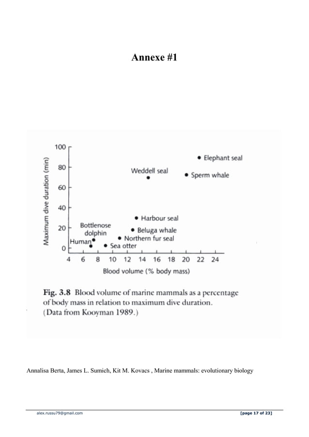 Marine mammals: physiological adaptations to freediving | PDF