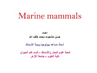 Marine mammals its beautiful treeeee.ppt