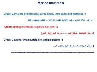 Marine mammals its beautiful treeeee.ppt