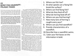 Marine Mammals Questions and Facts | PPTX | Reptiles | Pets