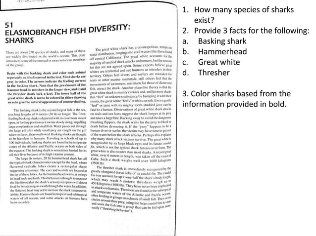 Marine Mammals Questions and Facts | PPTX | Reptiles | Pets