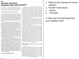 Marine Mammals Questions and Facts | PPTX | Reptiles | Pets