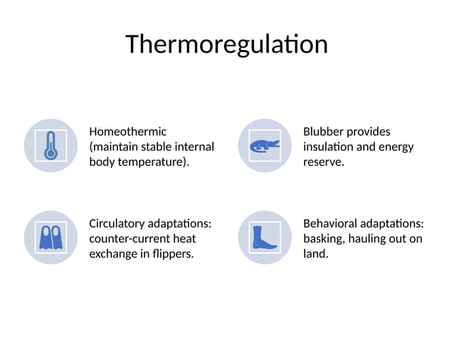 Marine_Mammals_Presentation-biology-conservation.pptx