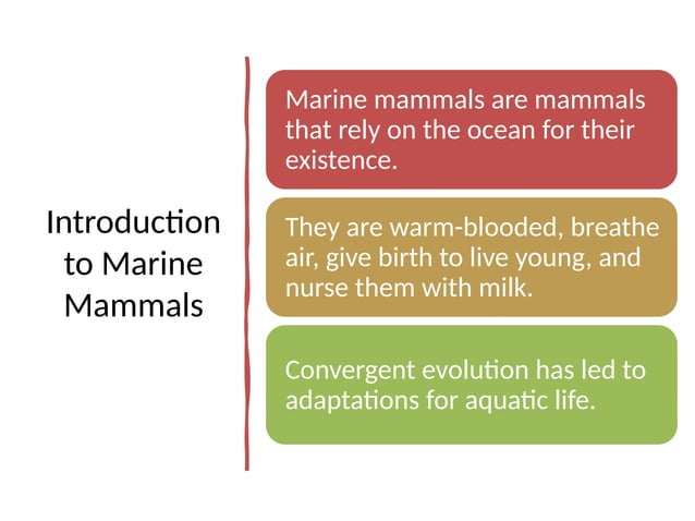 Marine_Mammals_Presentation-biology-conservation.pptx