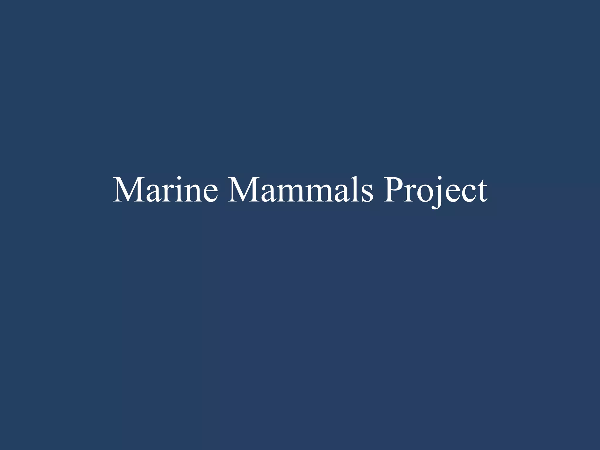 Marine Mammals Project | PPTX