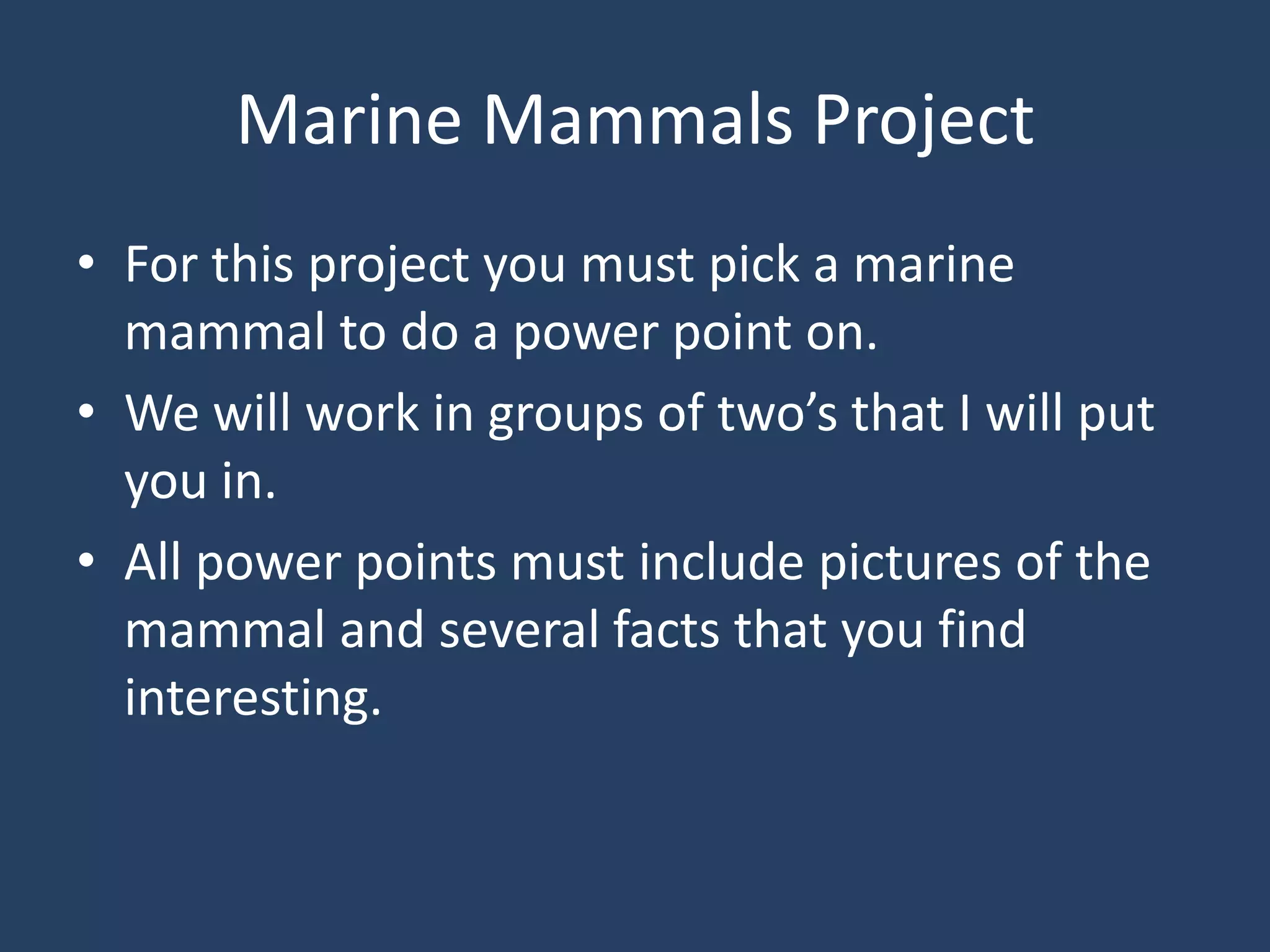 Marine Mammals Project | PPT