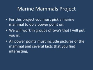 Marine Mammals Project | PPT