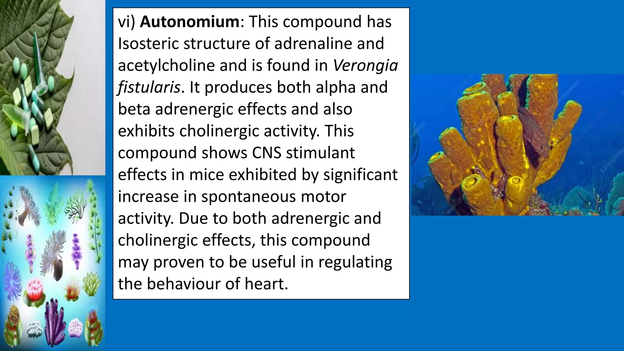 Novel Medicinal Agents from Marine Source | PPTX