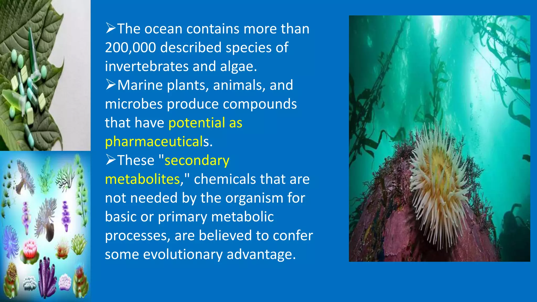 Novel Medicinal Agents from Marine Source | PPTX