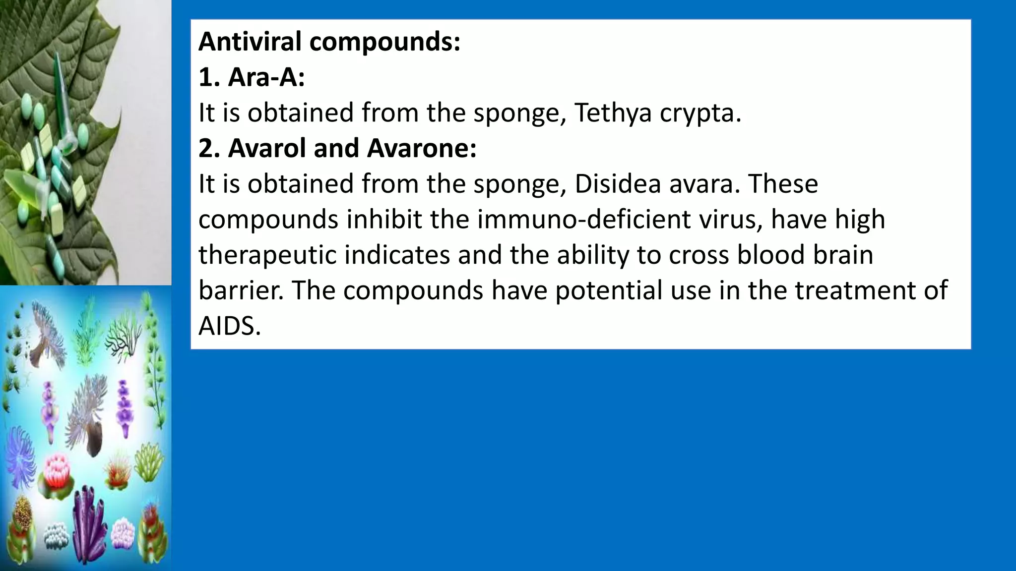 Novel Medicinal Agents from Marine Source | PPTX