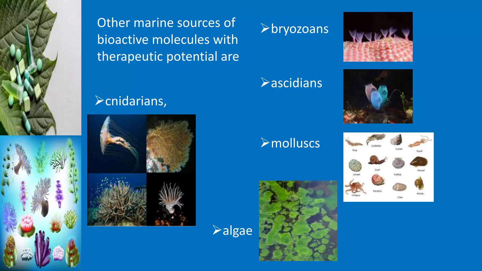 Novel Medicinal Agents from Marine Source | PPTX