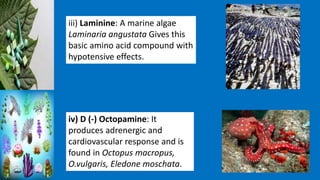 Novel Medicinal Agents from Marine Source | PPTX