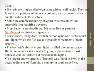 Marine microbial antibiotics for presentation | PPT