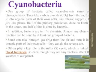 Marine microbial antibiotics for presentation | PPT
