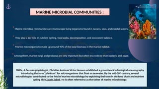 Marine Microbial communities(fungi& protozoa).pptx