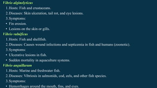 Marine Microbial Disease and their pathogenicity | PDF