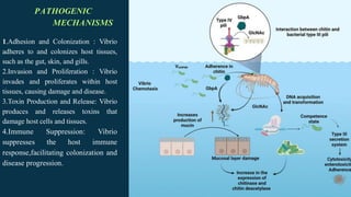 Marine Microbial Disease and their pathogenicity | PDF