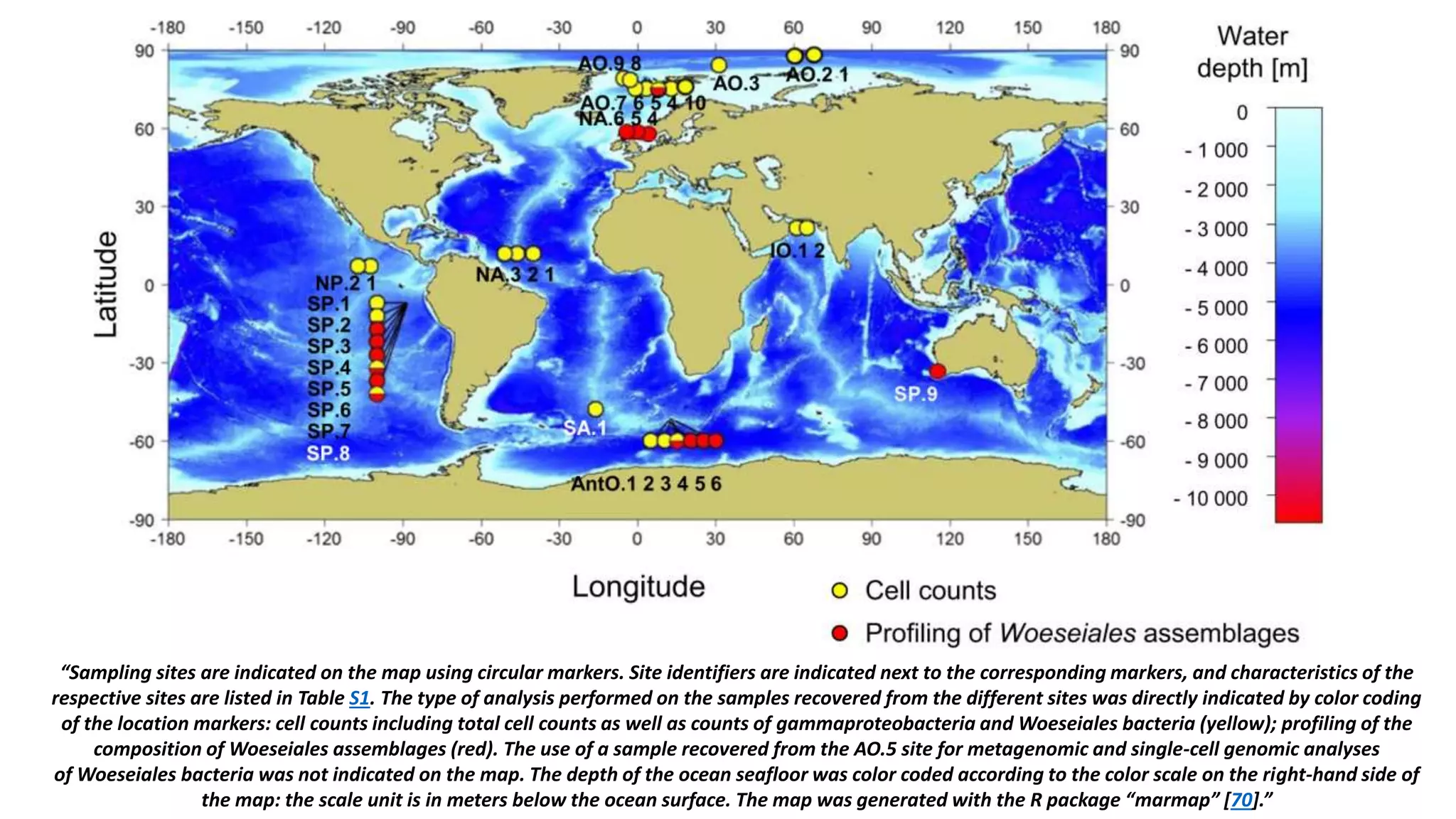 Marine microbiology | PPTX