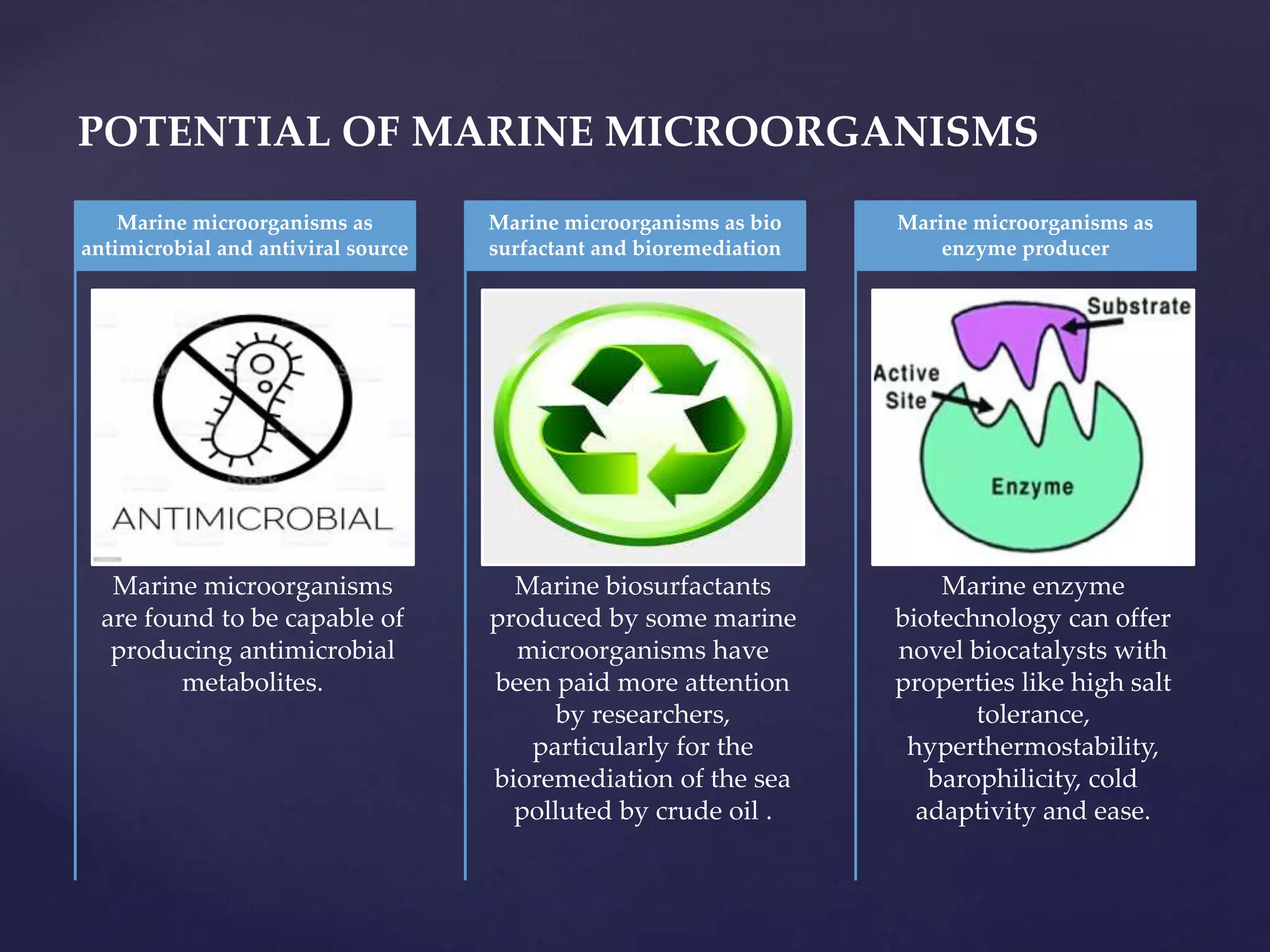 marine microorganisms.pptx | Biological Sciences | Science