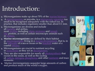 marine microorganisms.pptx