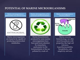marine microorganisms.pptx | Biological Sciences | Science
