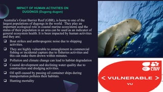 The impact of human activities on the habitat and mobile marine species ...