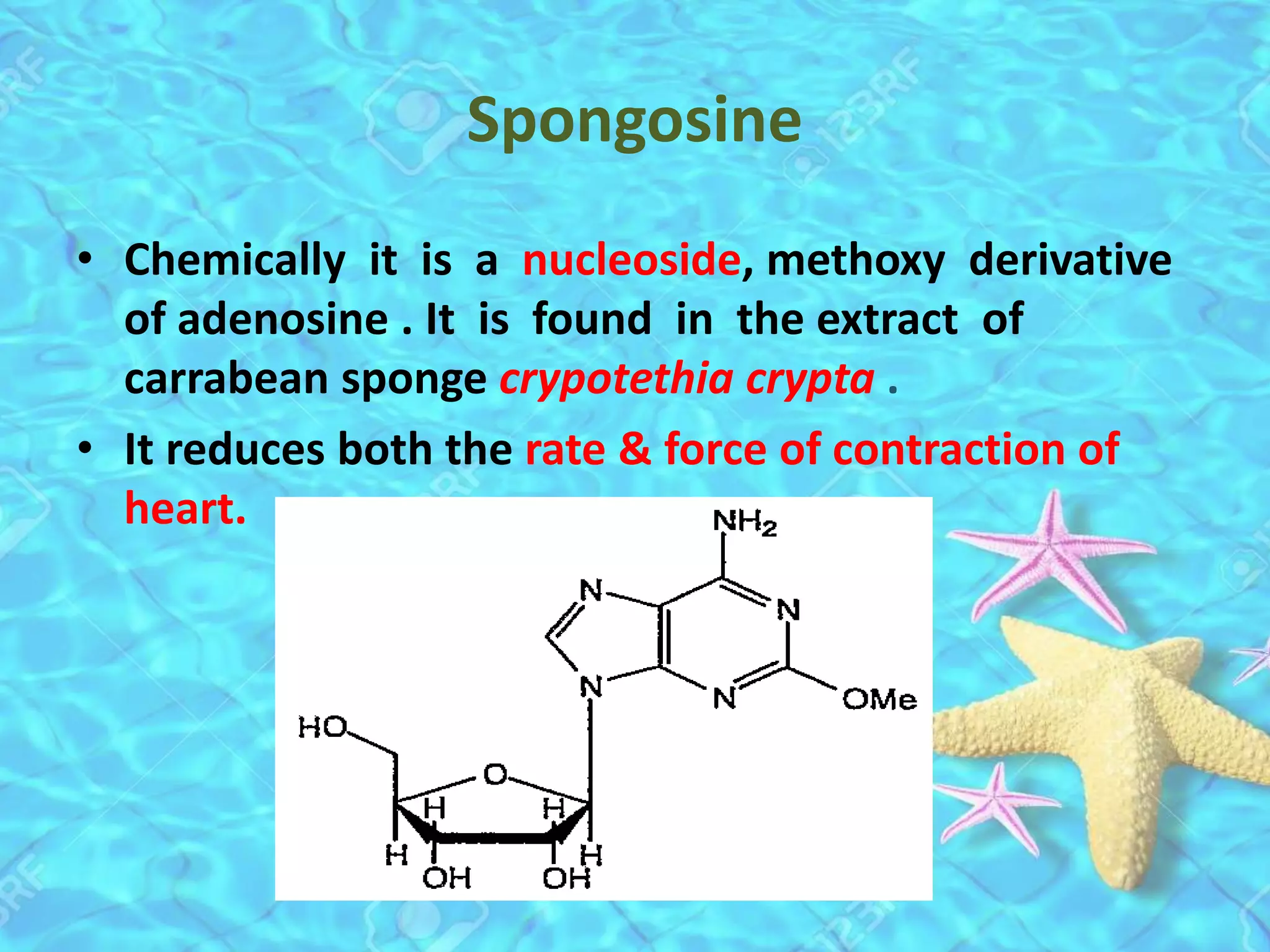 Marine natural products | PPTX