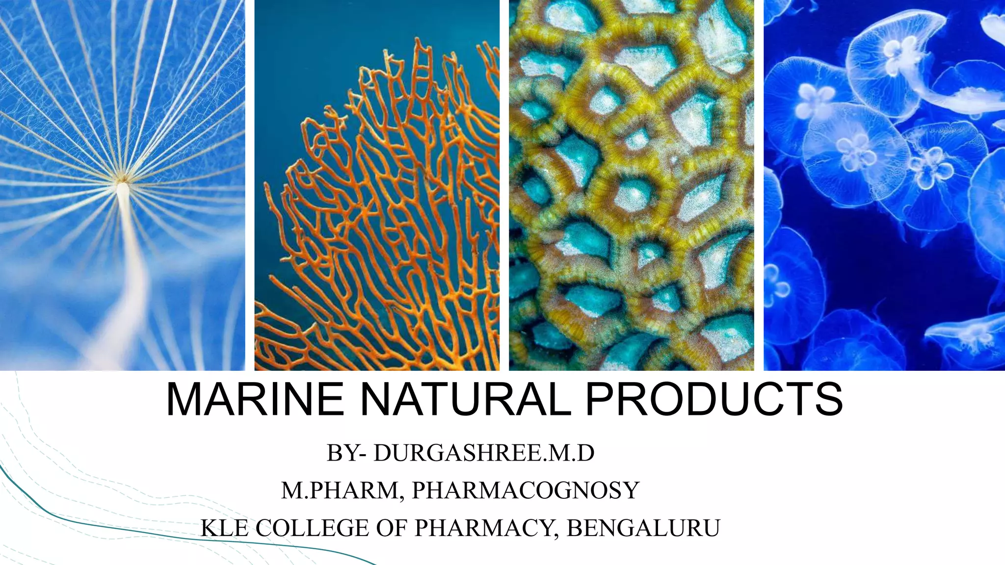 MARINE NATURAL PRODUCTS- Durgashree Diwakar | PPTX