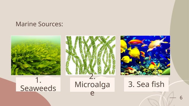 Marine Nutraceuticals .pptx Gandaki University | PPTX | Chemistry | Science
