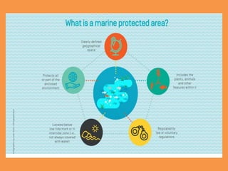 Marine parks and marine protected areas | PPTX